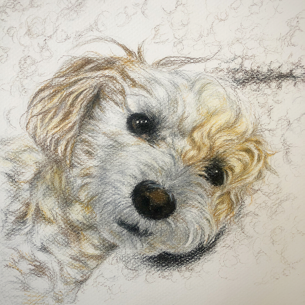 Pastels 101: The Basics of Drawing with Pastels