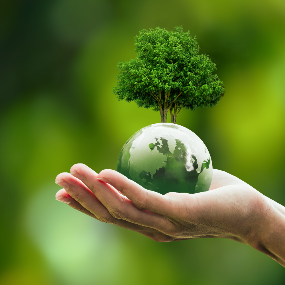 Art for Social Change: How Creativity Inspires & Unites!