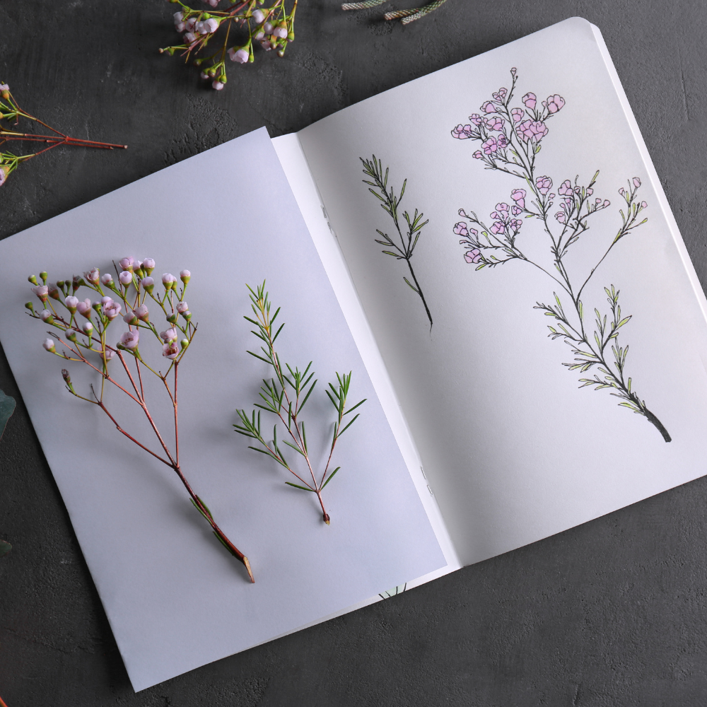 What Are the Rules for Art Journals? Unlocking Creativity