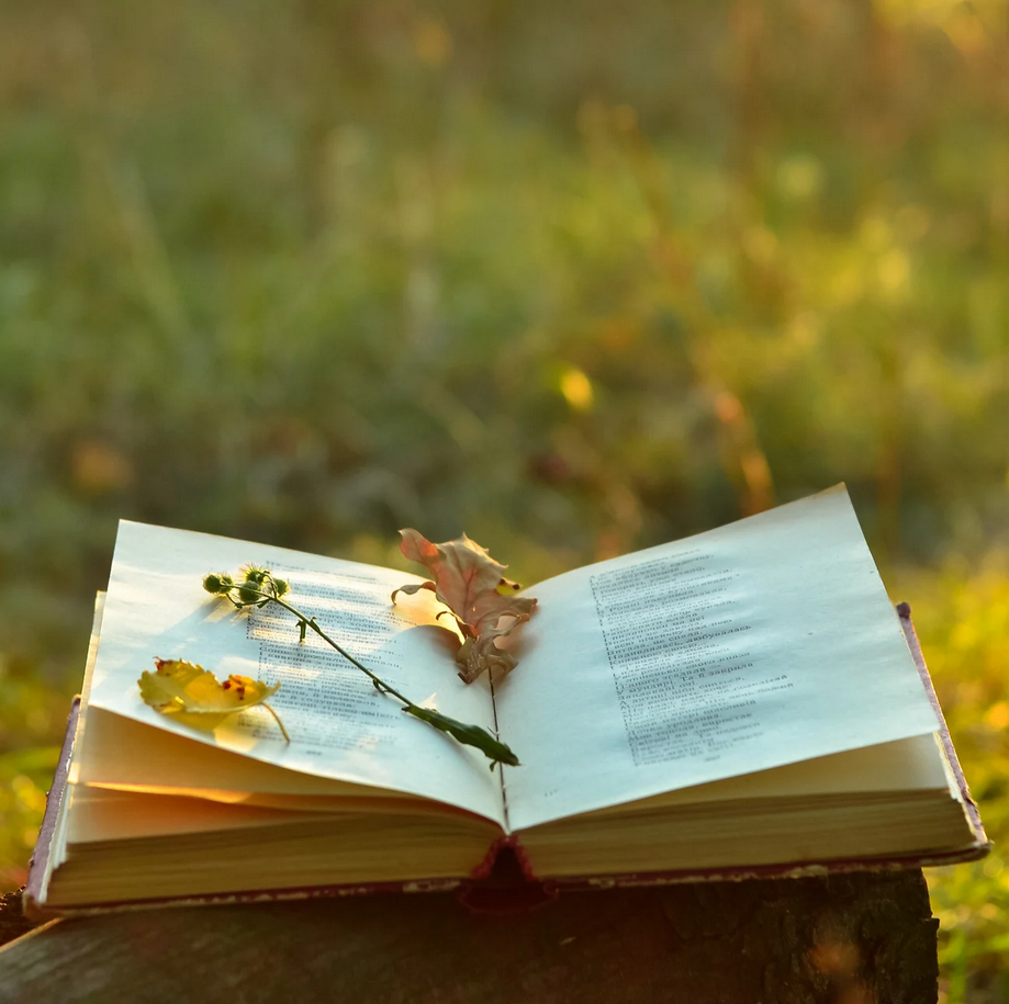 What Defines Poetry? Unlocking This Timeless Art Form