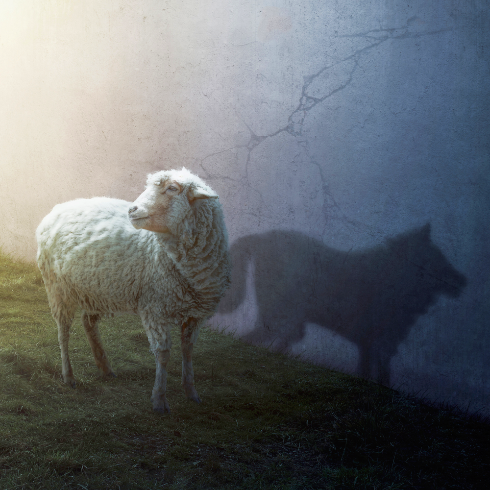 The World of Narcissists and Their Deceptive Tactics