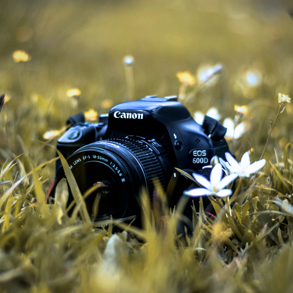 Capture Your World: Unveil the Best Photography Cameras