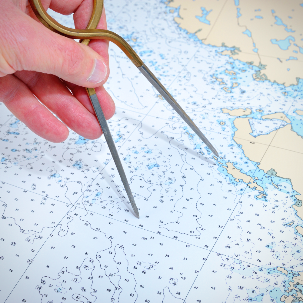 Charting Your Own Course