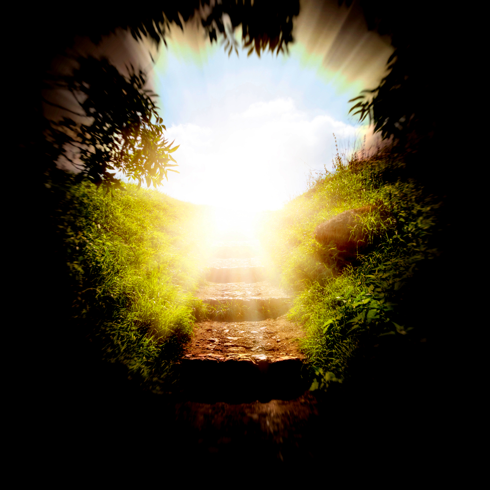 Transforming Shadows into Light Transforming Shadows into Light