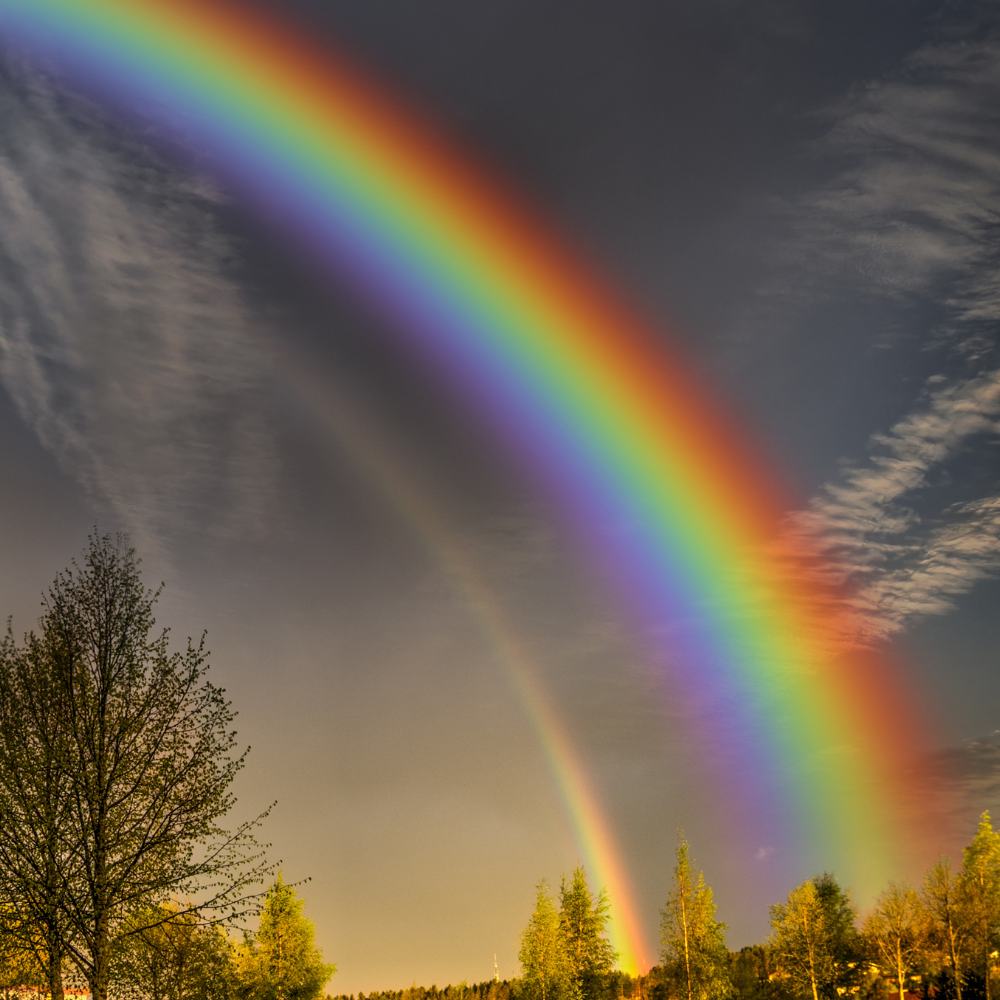 Weather Storms & Embrace Rainbows