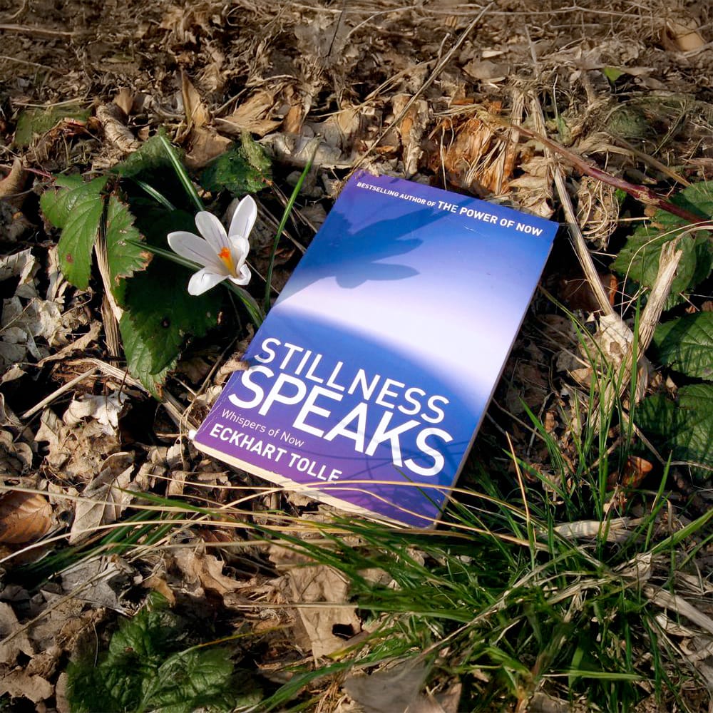 Stillness Speaks: Embark on a Journey to Inner Stillness