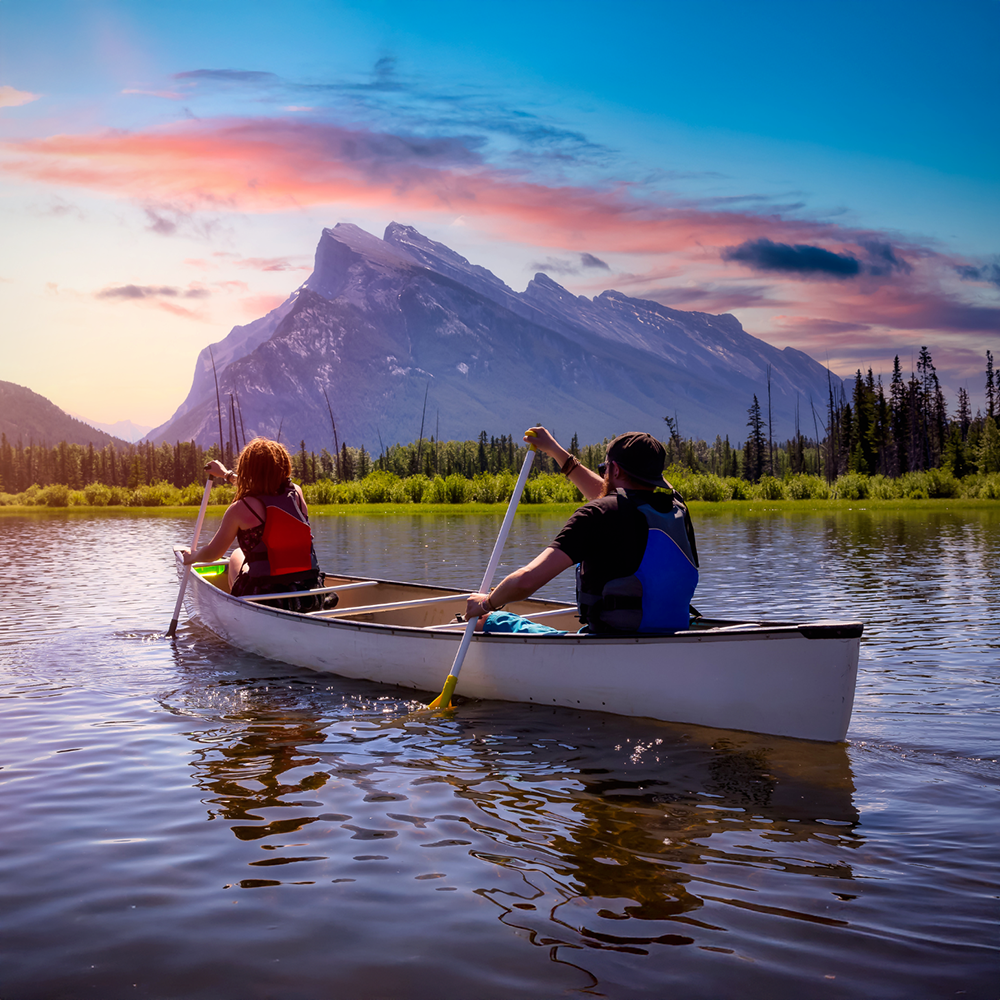 Embrace the Adventure