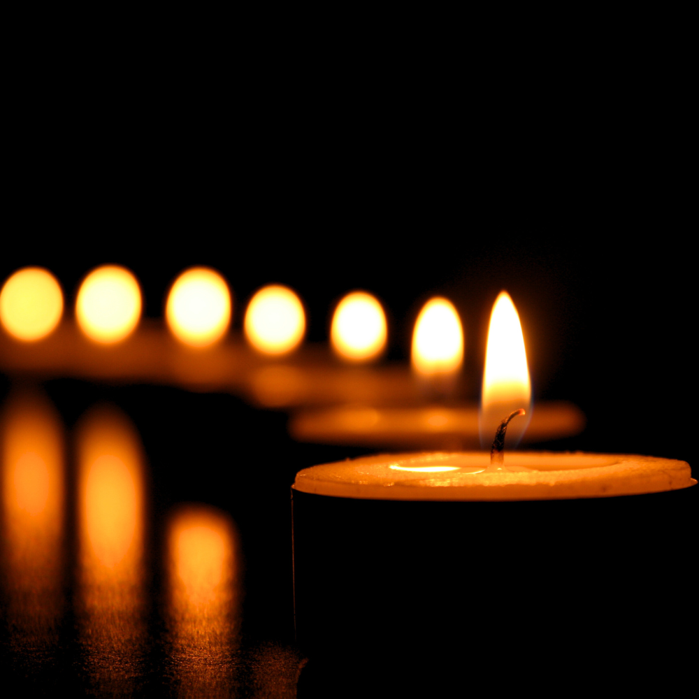 Illuminate Your Path