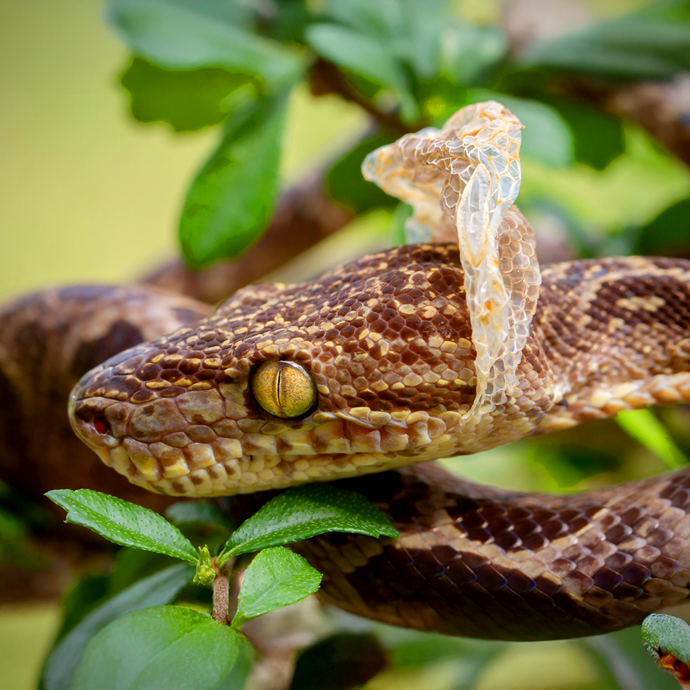 Year of the Split: Pruning, Purging, and the Quiet Work