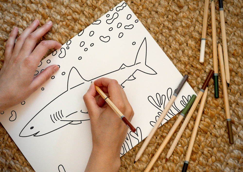Celebrate Shark Week with Shark Coloring Books
