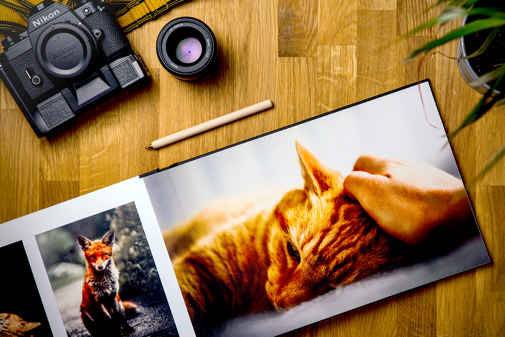 Photography 101: The Beginner's Guide to Photography