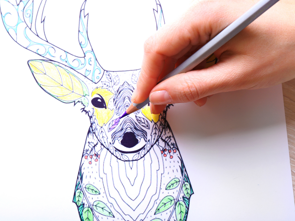 Coloring Books 101: Coloring Tips for Beginners