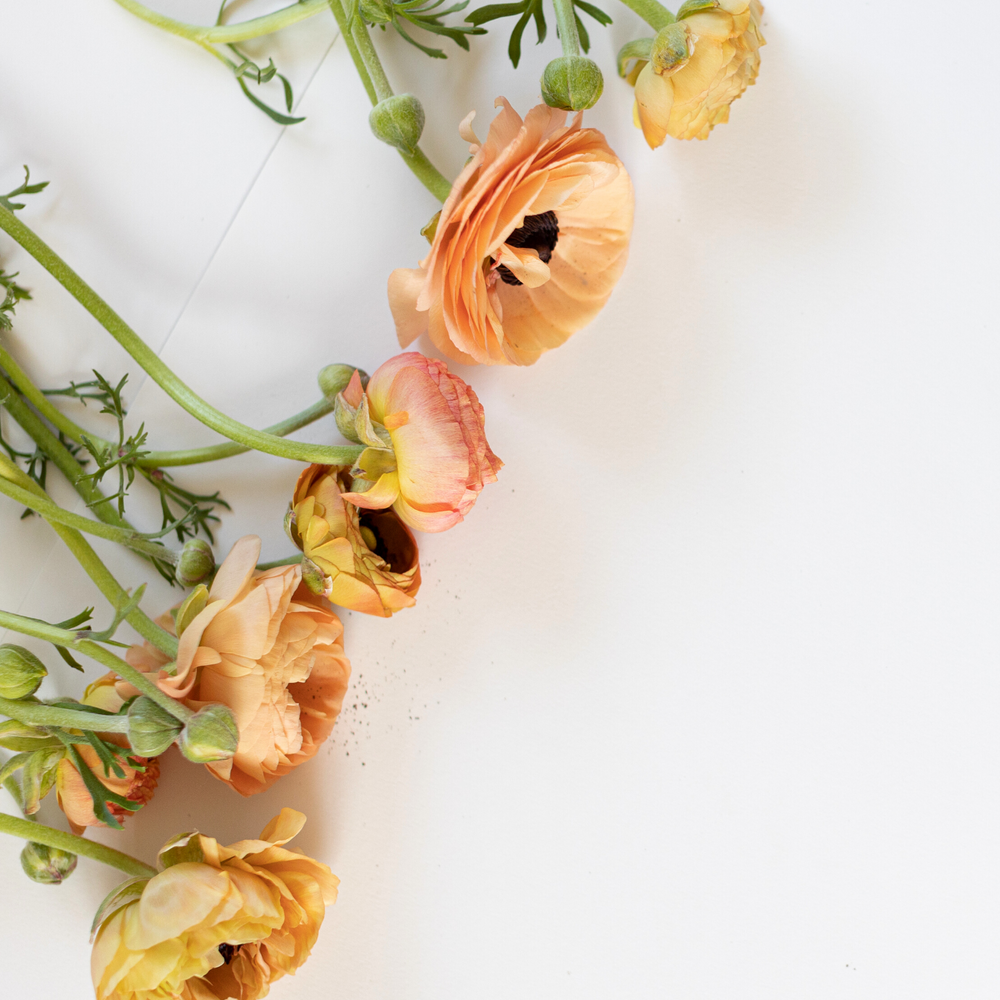 Flower Art: Creating Modern Dried Flower Arrangements