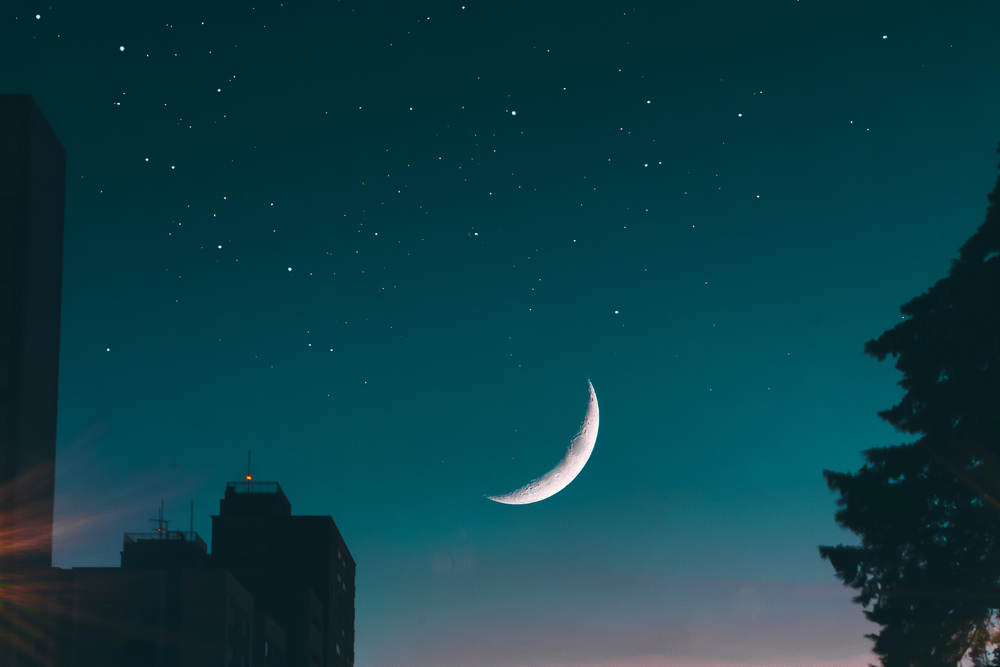 Stargazing: Creative Inspiration Gifted from the Stars