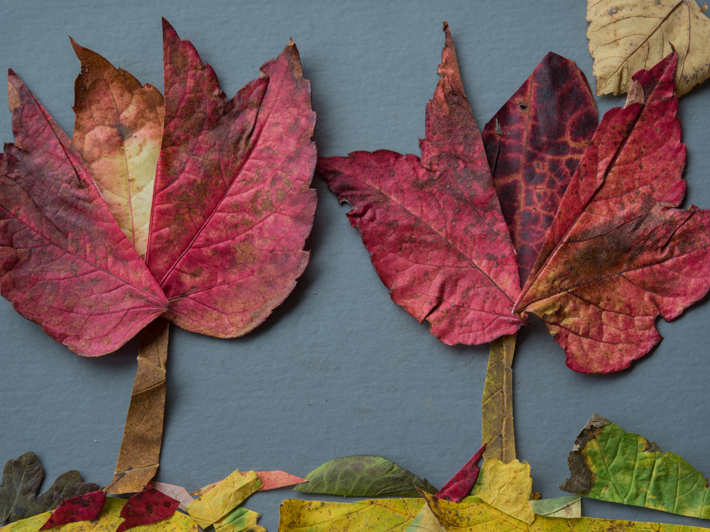 Great Collage Tips for Crafting the Perfect Masterpiece!