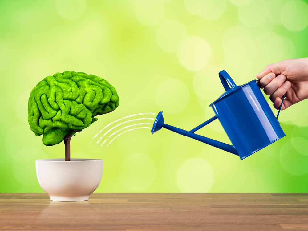 Great Brain Debate: Which Side of Your Brain is Creative?