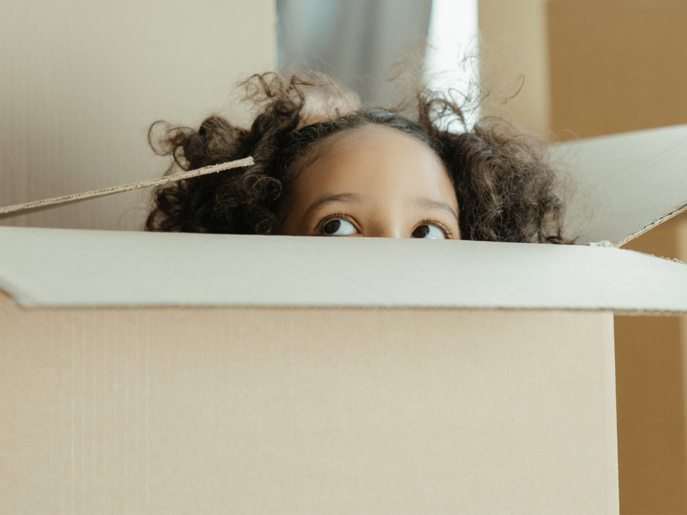 Not a Box: Opening Up a Whole New World of Imagination!