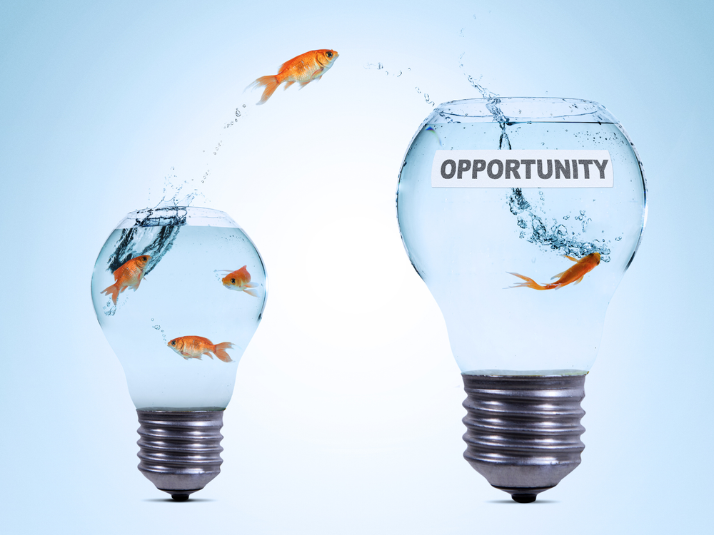 Find Creative Opportunities: Discover Creative Goldmines!