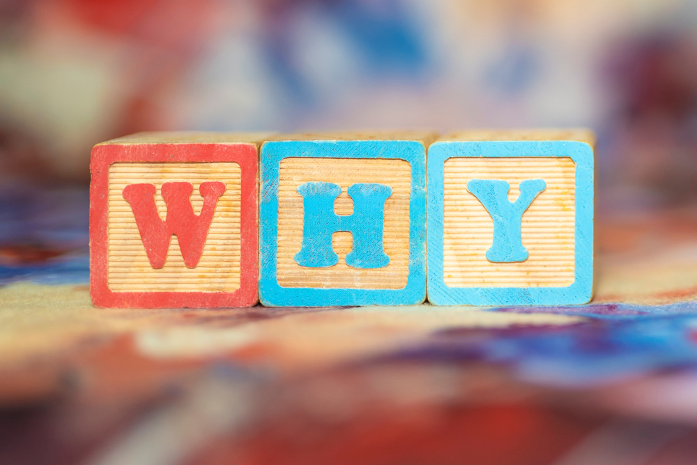 Discover Your Why: Creative Expedition into Your Purpose
