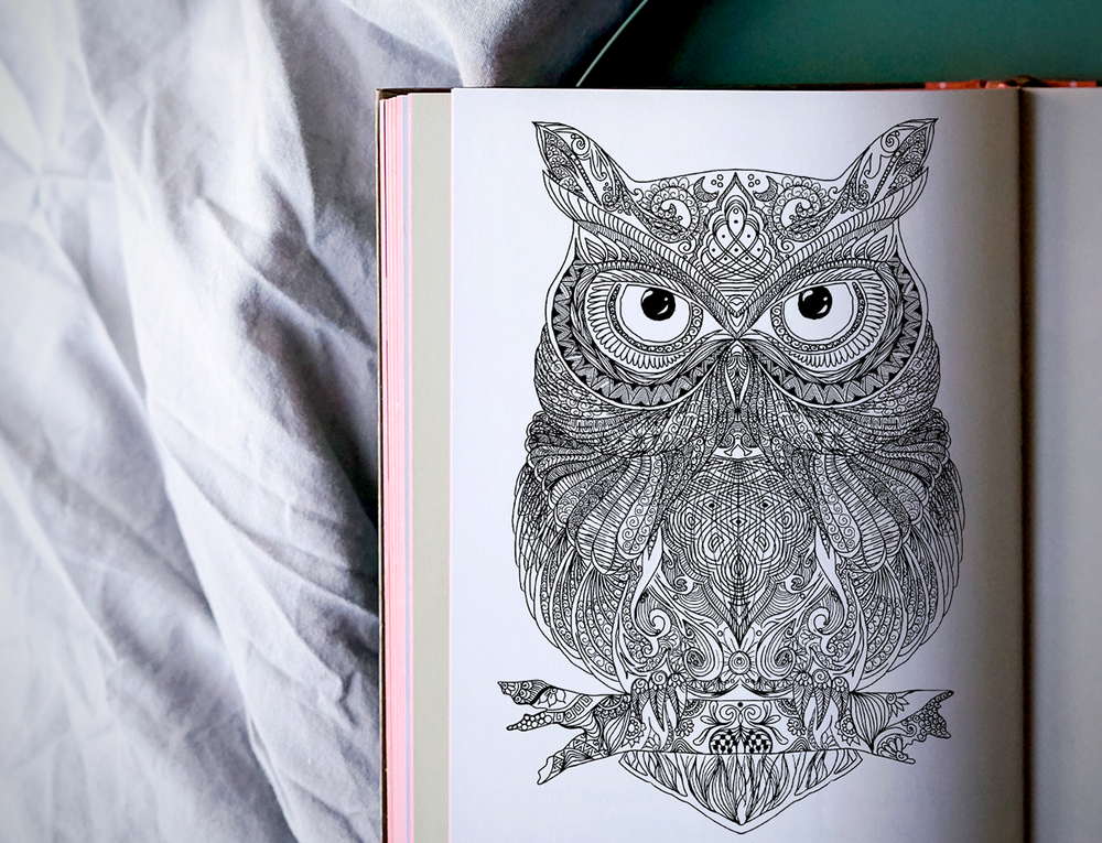 Can I Turn My Pictures into a Coloring Book?