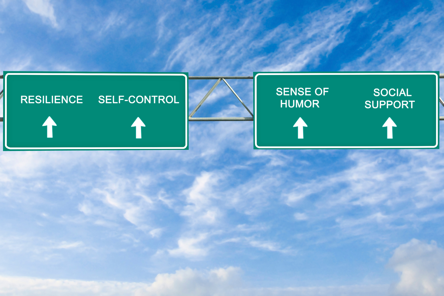 Bounce Back: Unleash the Art Of Resilience and Creativity