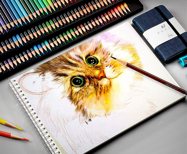 Make Vibrant Hues with the Best Oil-Based Colored Pencils