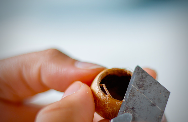 Flawless Cutting with the Best Craft Knife