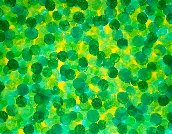 The Power of the Dot: How to Create Dot Art