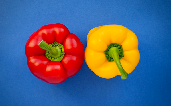 How to Use the Color Wheel for Your Artwork