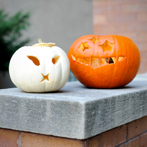 Choosing the Perfect Pumpkin