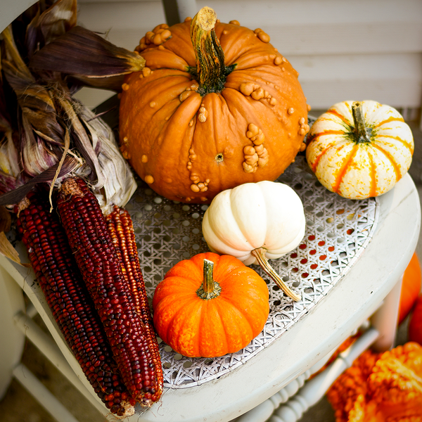 Choosing the Perfect Pumpkin