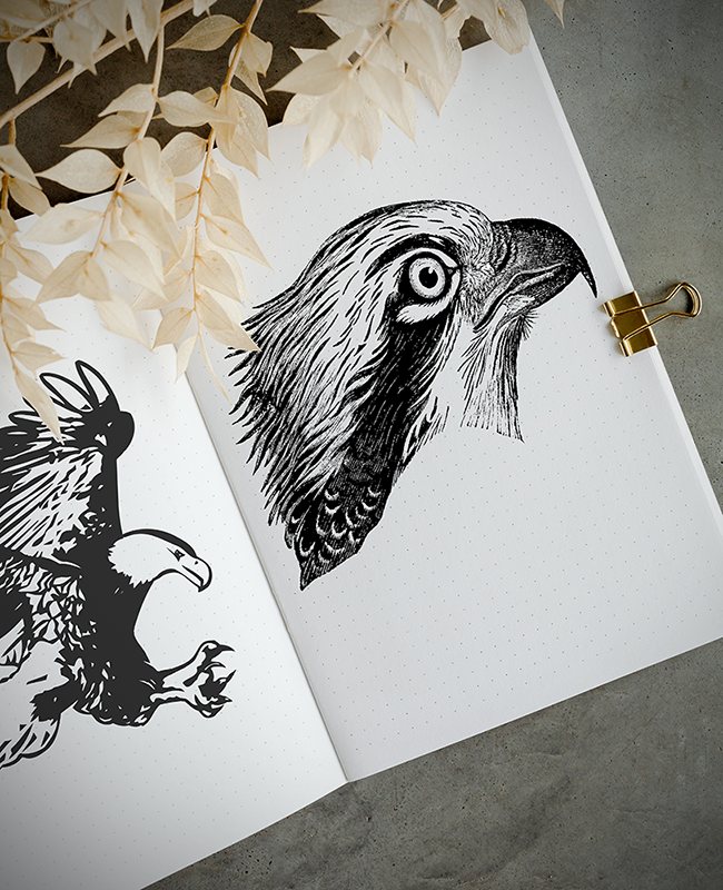 Creating Coloring Books: Coloring Book Beginner's Guide