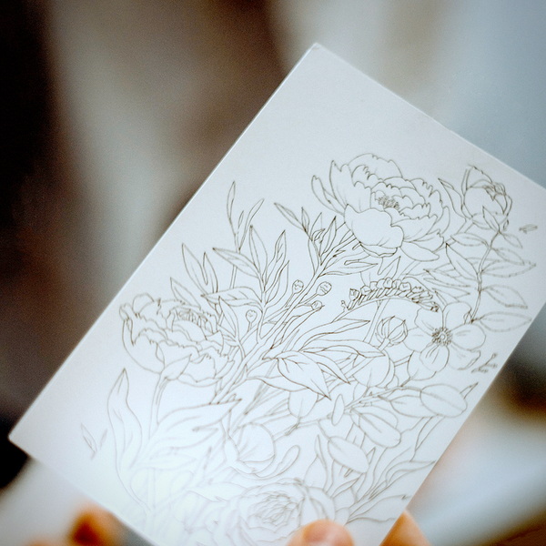 Creating Coloring Books: Coloring Book Beginner's Guide