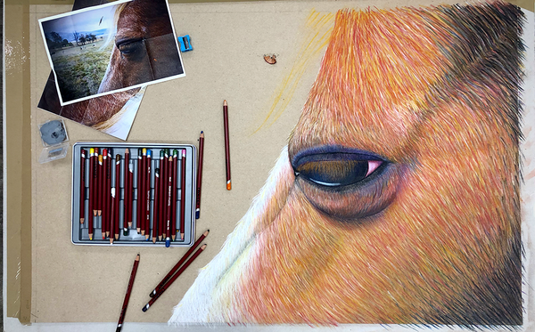 Pastels 101: The Basics of Drawing with Pastels