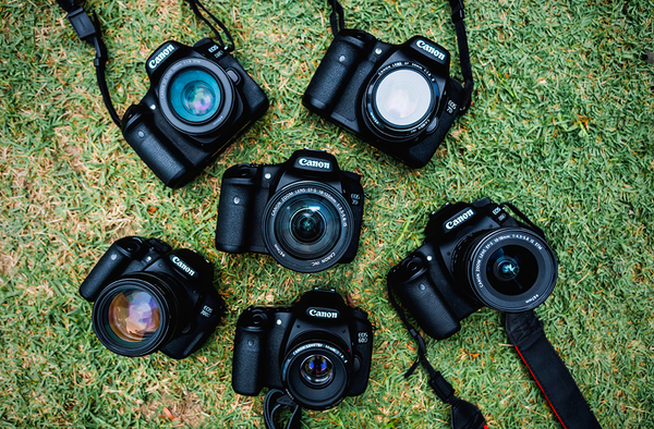 Photography 101: The Beginner's Guide to Photography