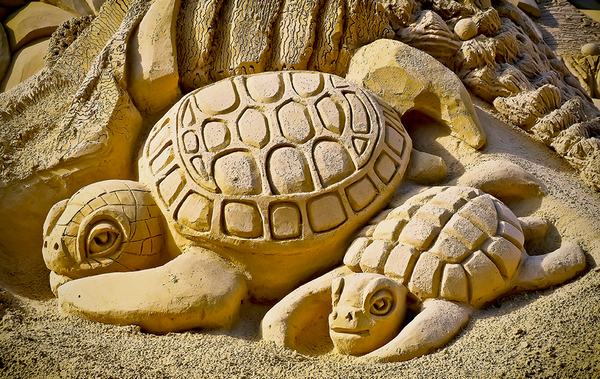 Sand Art 101: Stunning Sand Sculptures