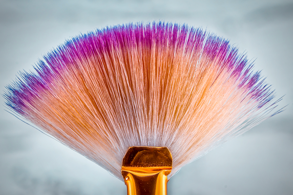 Paint Brushes 101: Types of Paint Brushes and Their Uses