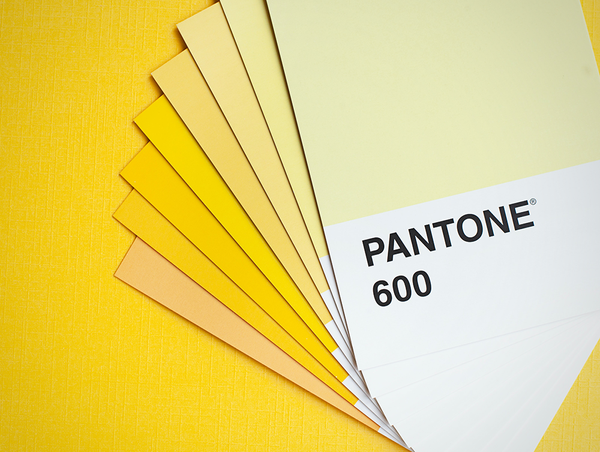 Color 101: An Introduction to Color Theory