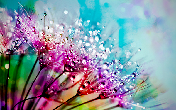 Color 101: An Introduction to Color Theory