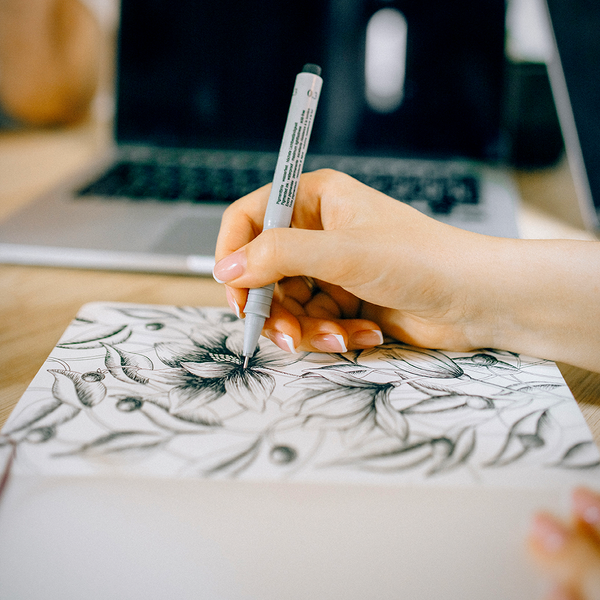 Drawing 101: The Drawing Beginner's Guide