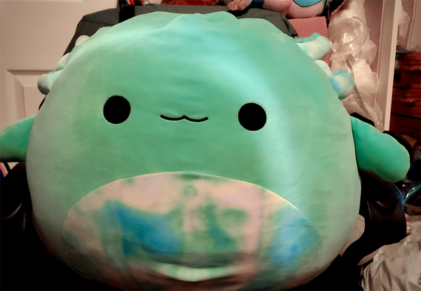 Homemade Gifts: How to Create DIY Squishmallow Plushies