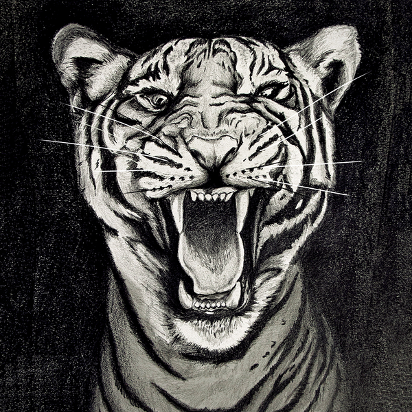 Drawings 101: How to Produce Creative Drawings