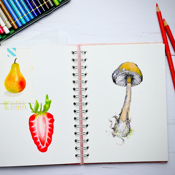 Beginner's Guide to Drawing with Colored Pencils