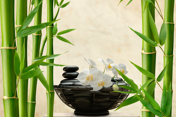 Create with Feng Shui: Vital Tips for Your Art Space