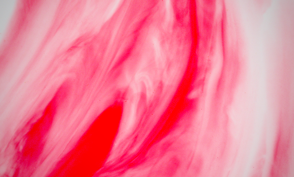 Color 101: An Introduction to Color Theory