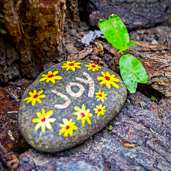 Rock Painting 101: Tips for Creating Awesome Rocks