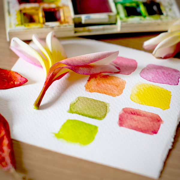 Watercolor Tips for Beginners: Creating Art That Pops