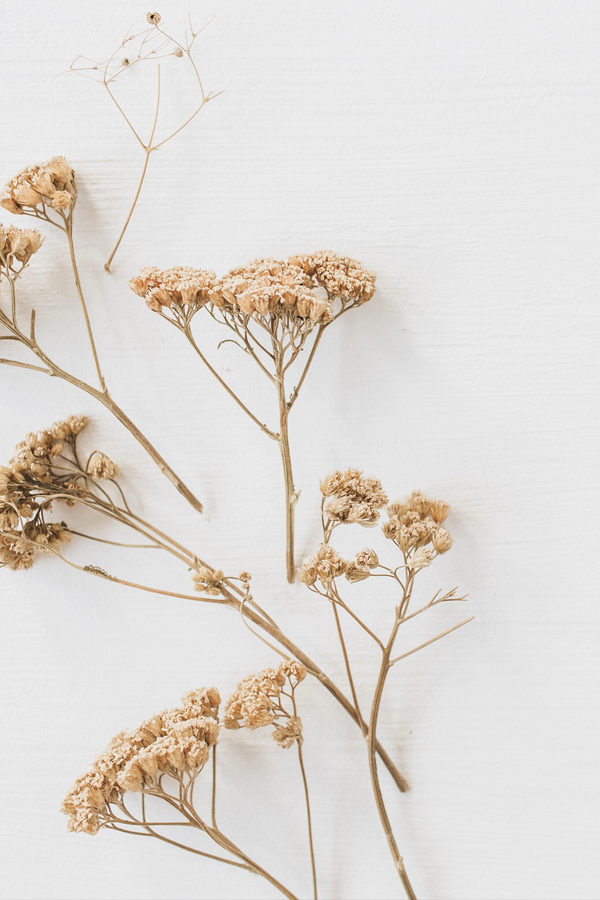 Flower Art: Creating Modern Dried Flower Arrangements