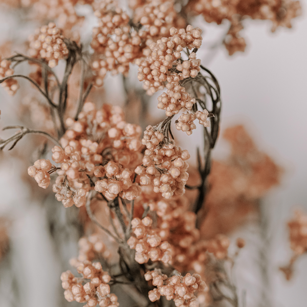 Flower Art: Creating Modern Dried Flower Arrangements