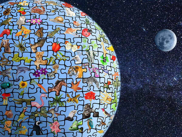 DIY Crafts: Creating Unique Puzzle Piece Art Projects